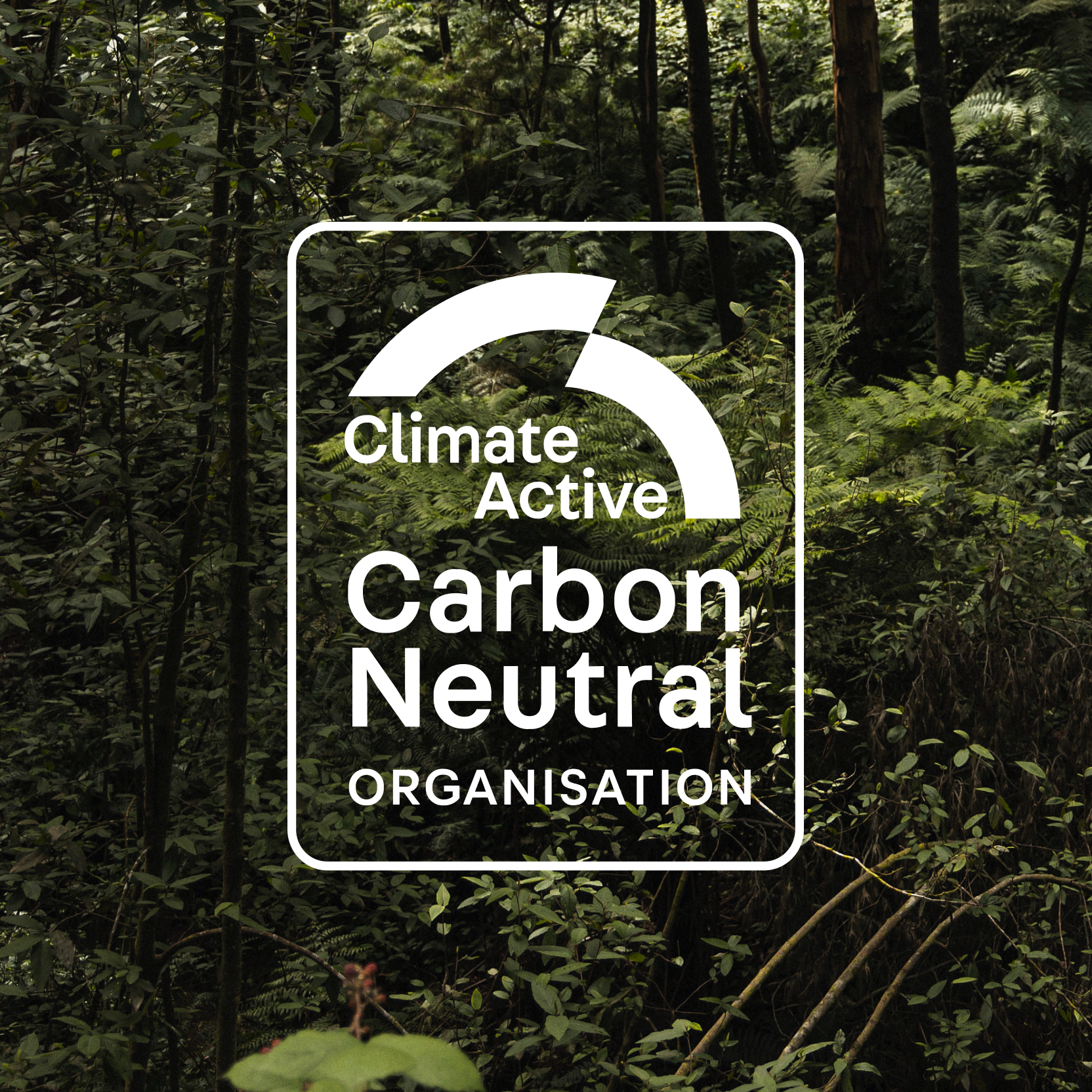 Carbon neutral for three years | Today