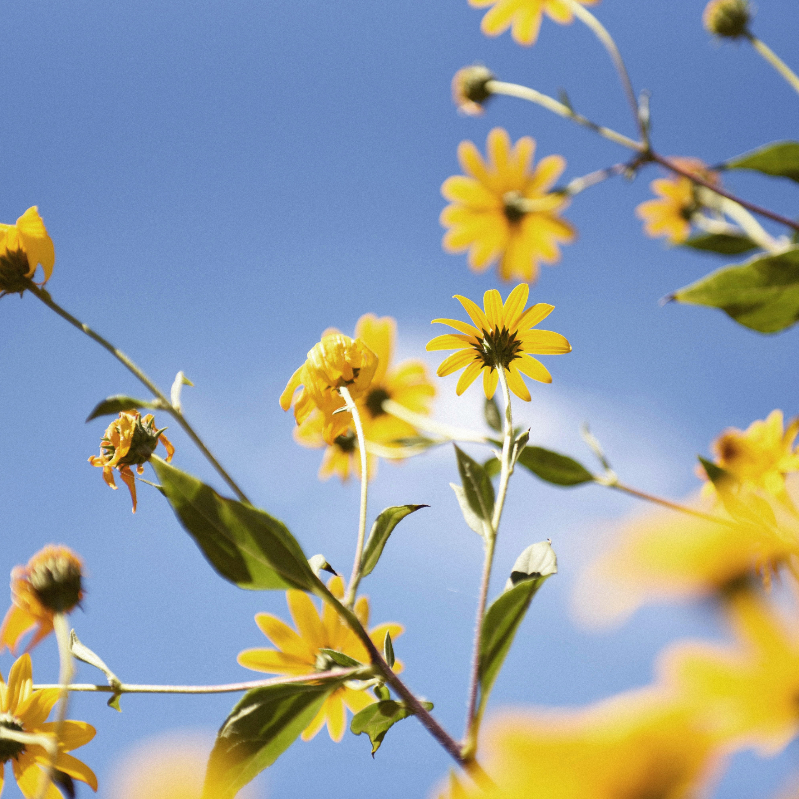 Daybreak: showcase one | Today